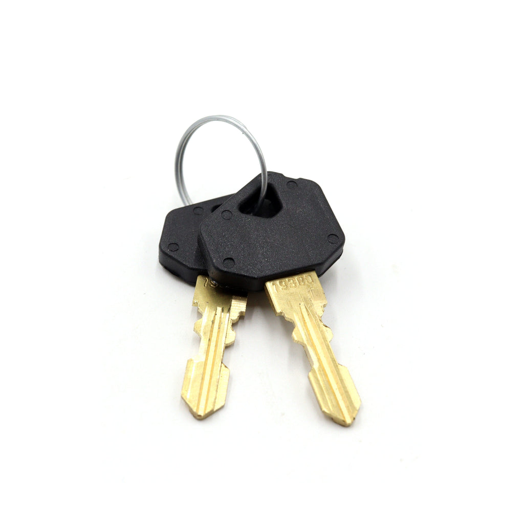 Lock Focus Roller Door Lock AR/VP--/19/6H/L-8 – Remote Pro